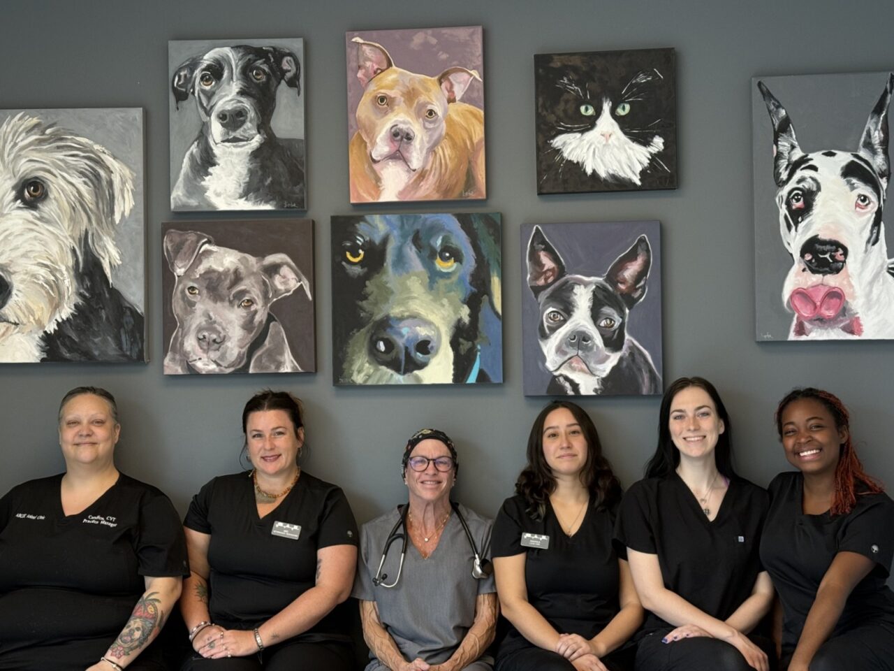 About - ABCDE Animal